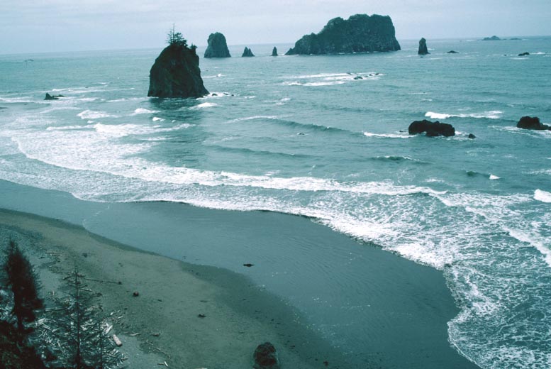 Hiking Washington State's wilderness Pacific beaches -- by U.S. Dive ...
